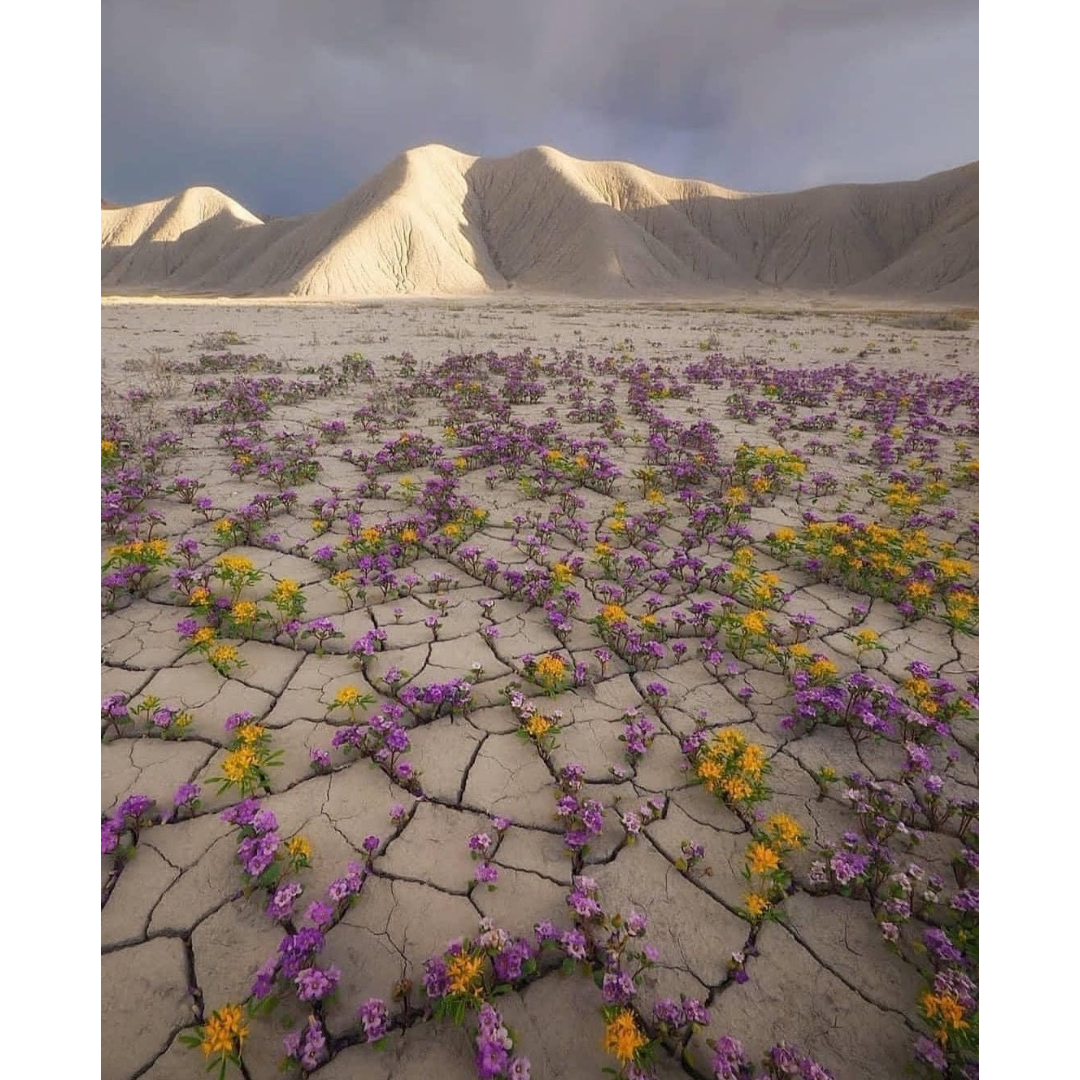 Adam Wade | howtube®