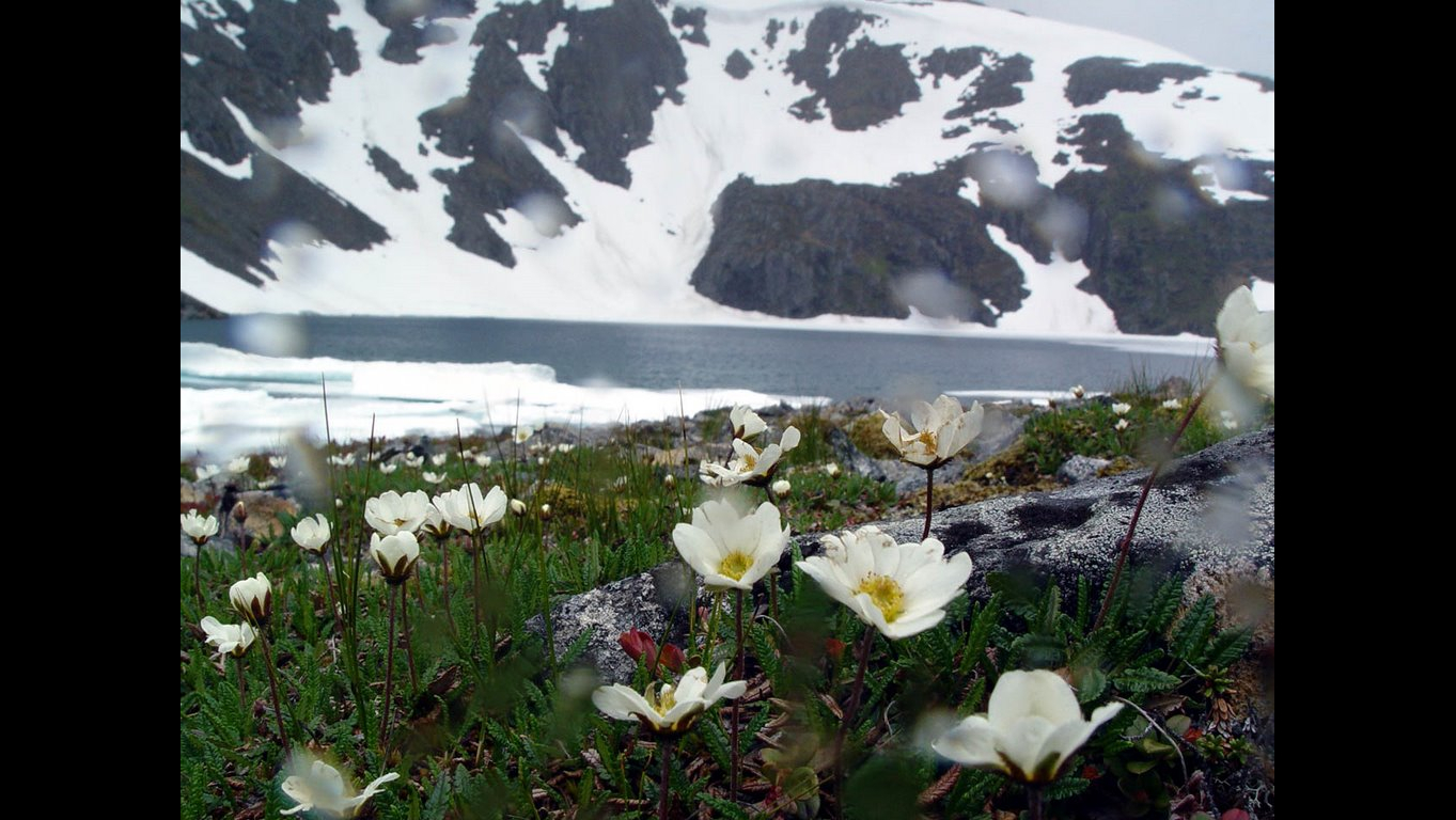 What is the Younger Dryas - howtube®